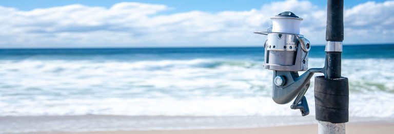 NJ Saltwater Fishing License: A Complete Guide for 2025 - TeenFish